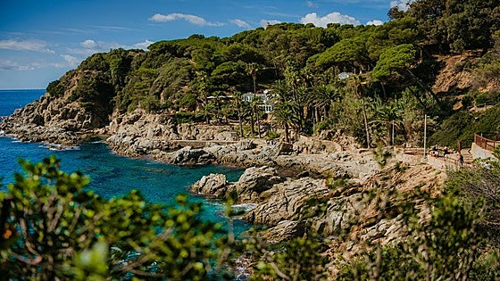 Lloret de Mar, últimas noticias - ABC