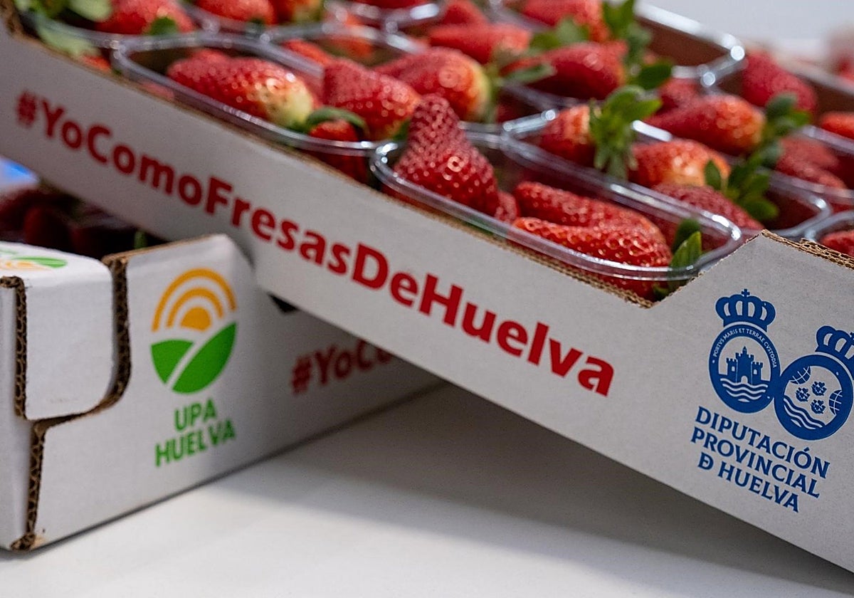 Huelva estira la campaña de la fresa para recuperar las pérdidas ...