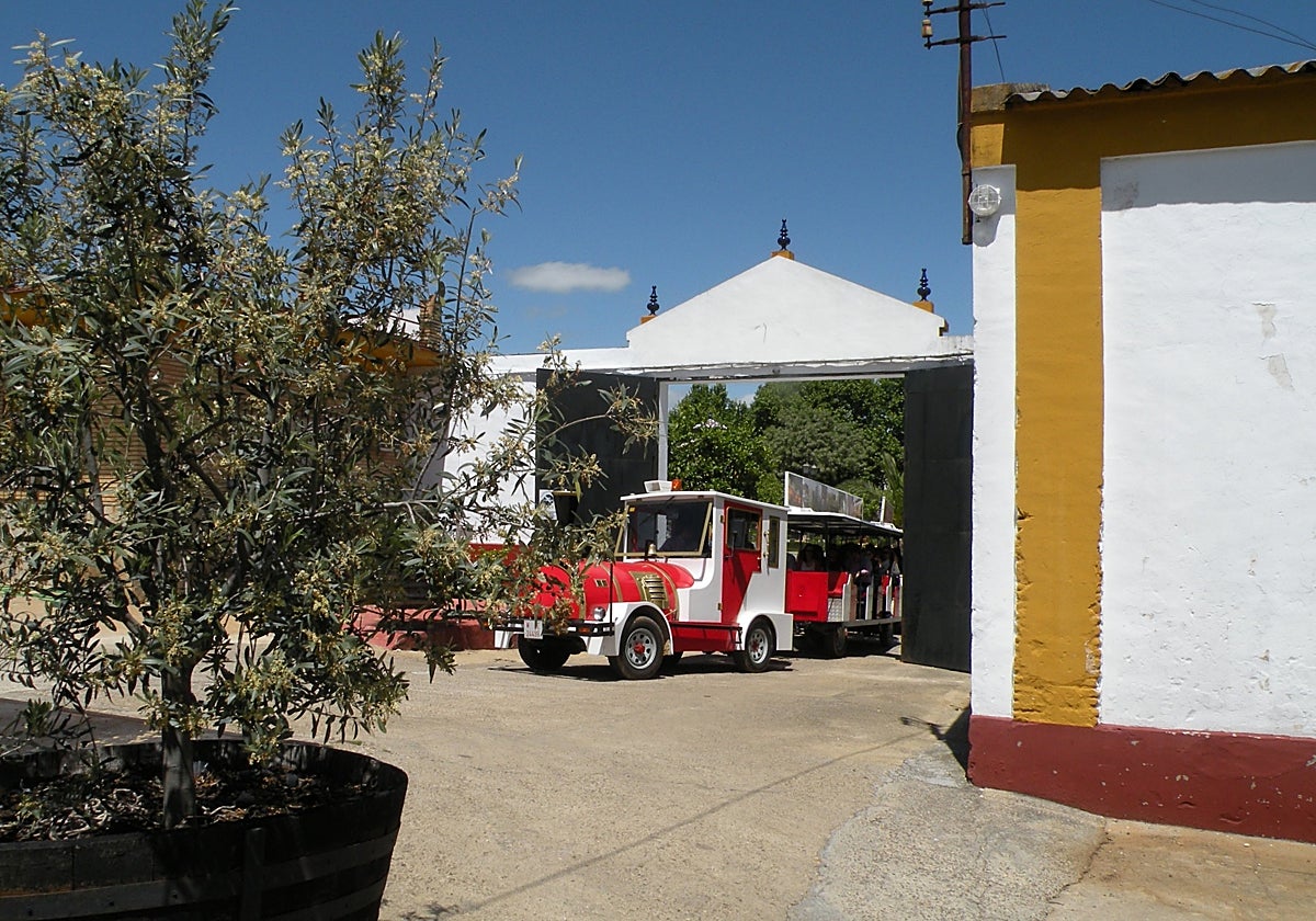 Tren del vino en Bollullos Par del Condado: precio, fechas y horarios ...