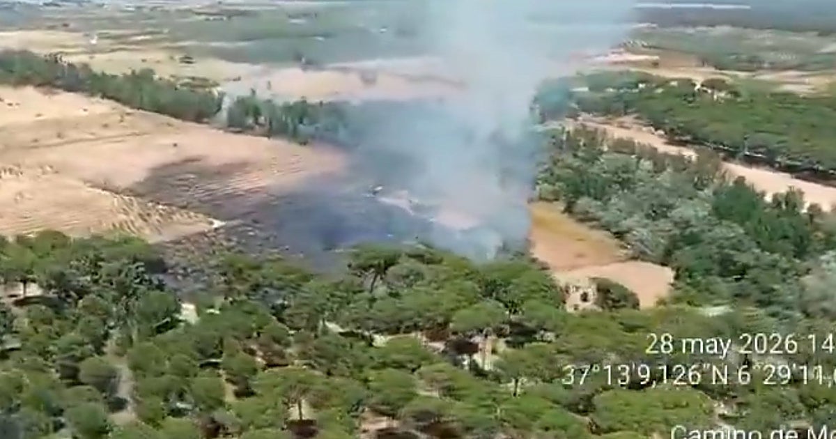 Incendio en el paraje de Almonte La Pañuela