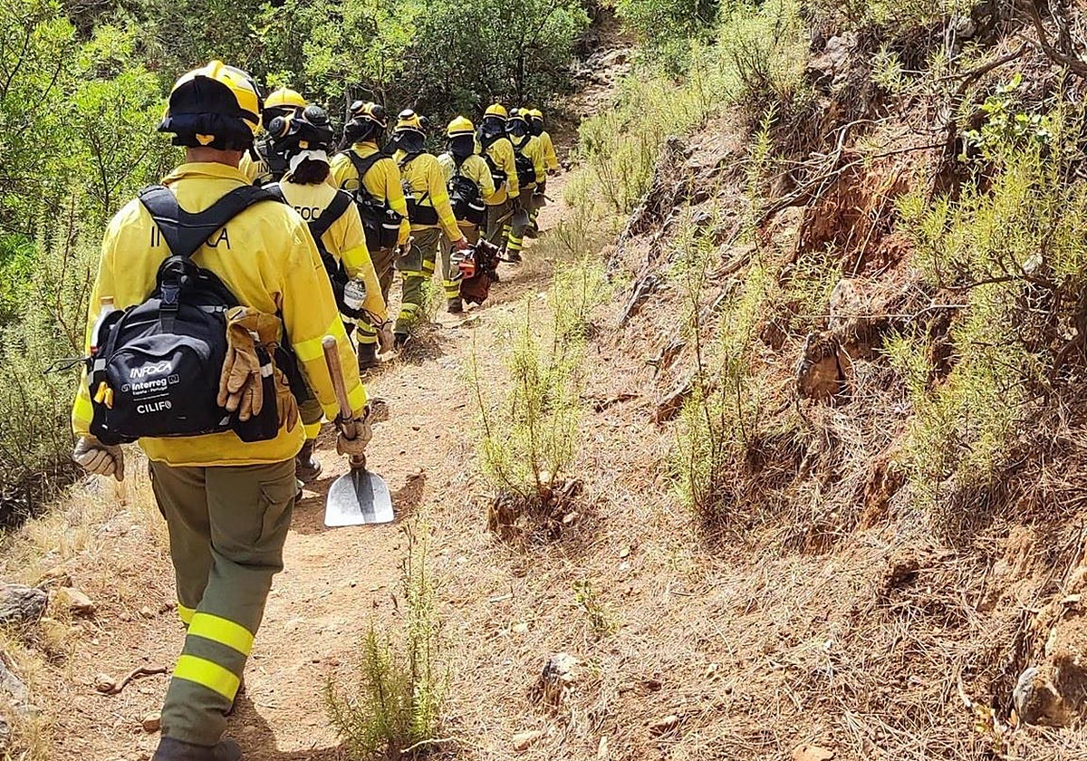 El Infoca da por extinguido el incendio forestal de Gibraleón y ...