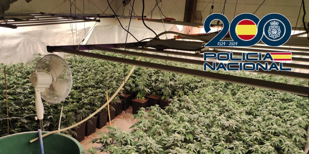 La Policía Nacional desmantela dos plantaciones indoor de marihuana en Jerez de la Frontera y ...