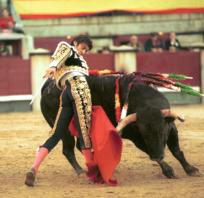 Faena de Príncipe y gitano