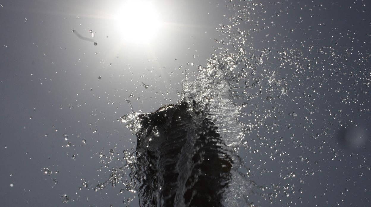 El verano de 2022, el más caluroso desde 1880
