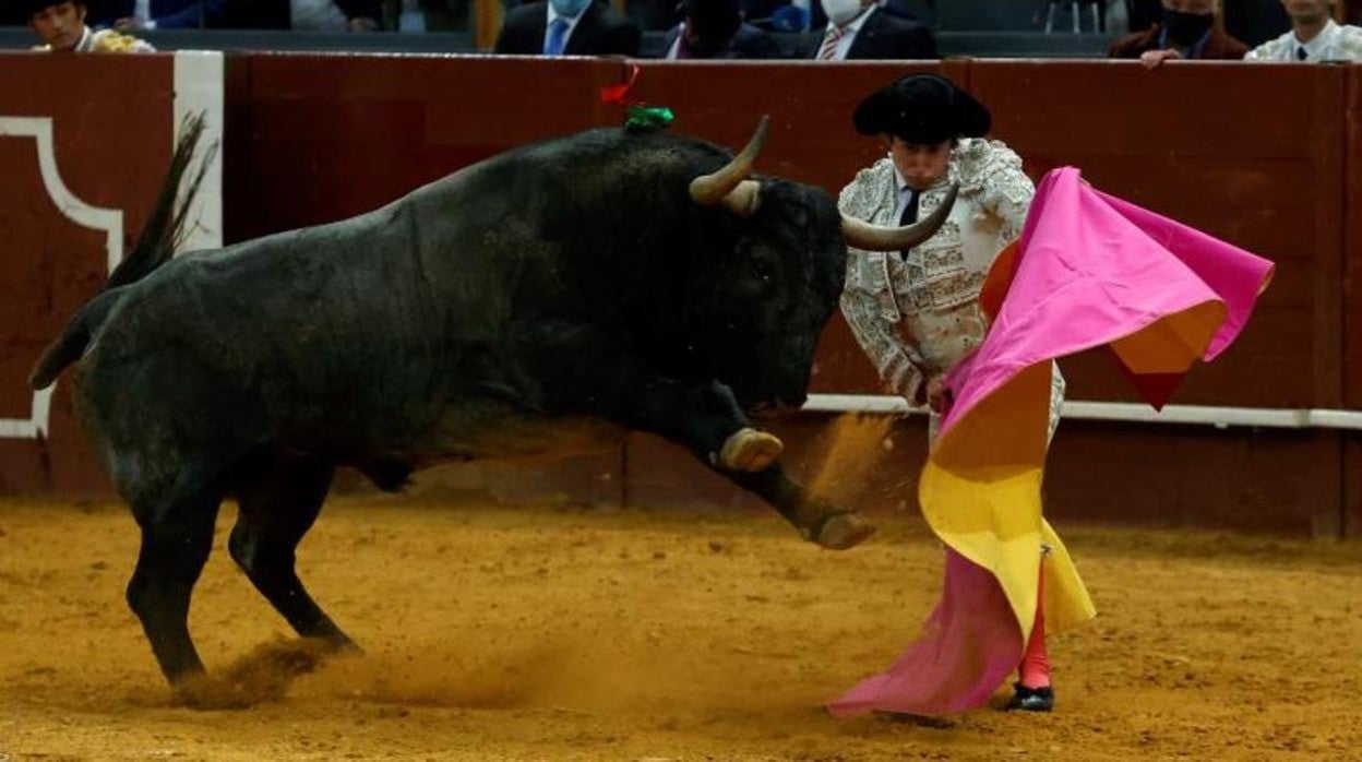 Casta y emoción con los toros de Adolfo Martín en Vistalegre