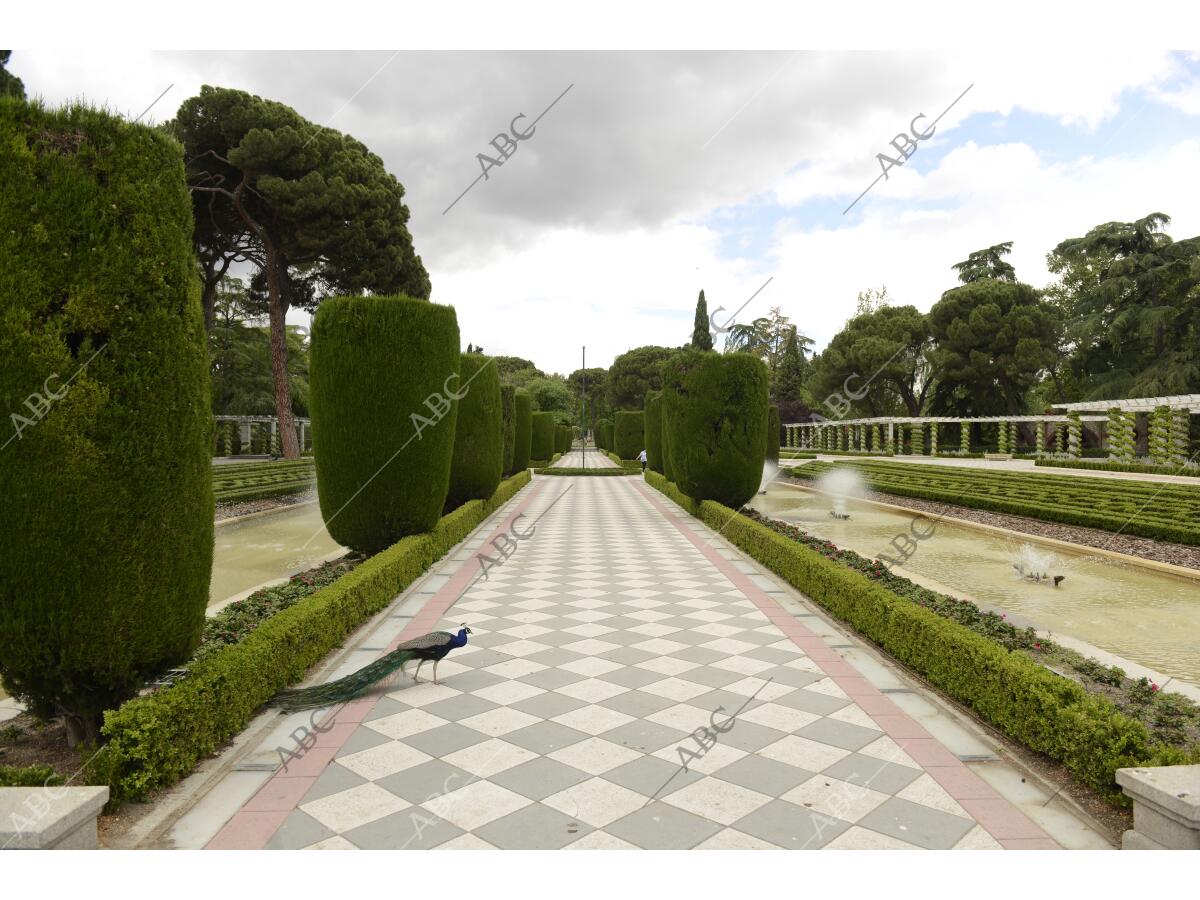 Jardines de Cecilio Rodríguez en el Retiro - Archivo ABC
