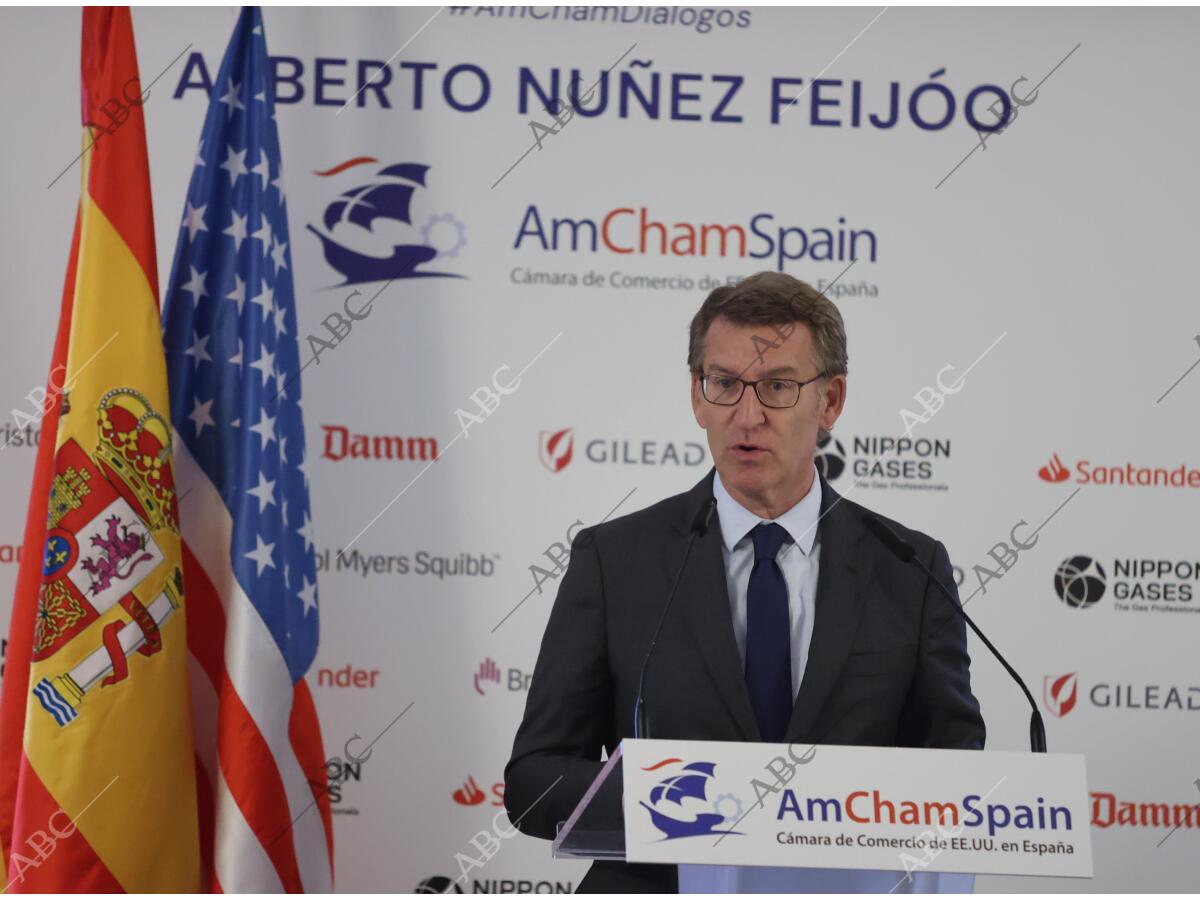 El presidente del Partido Popular, Alberto Núñez Feijóo, interviene en ...