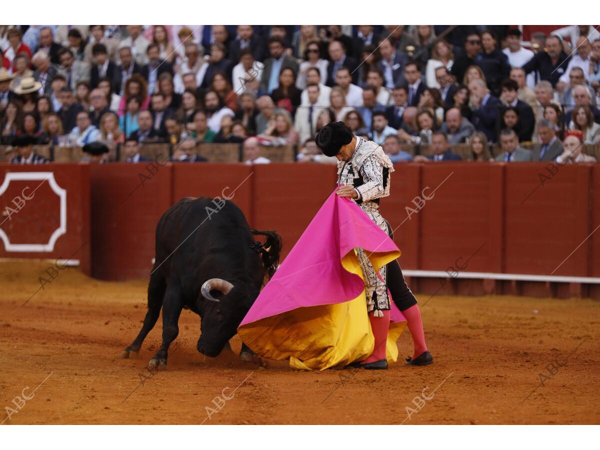 Toros de victoriano del río y Toros de cortés para Juan Ortega, roca ...