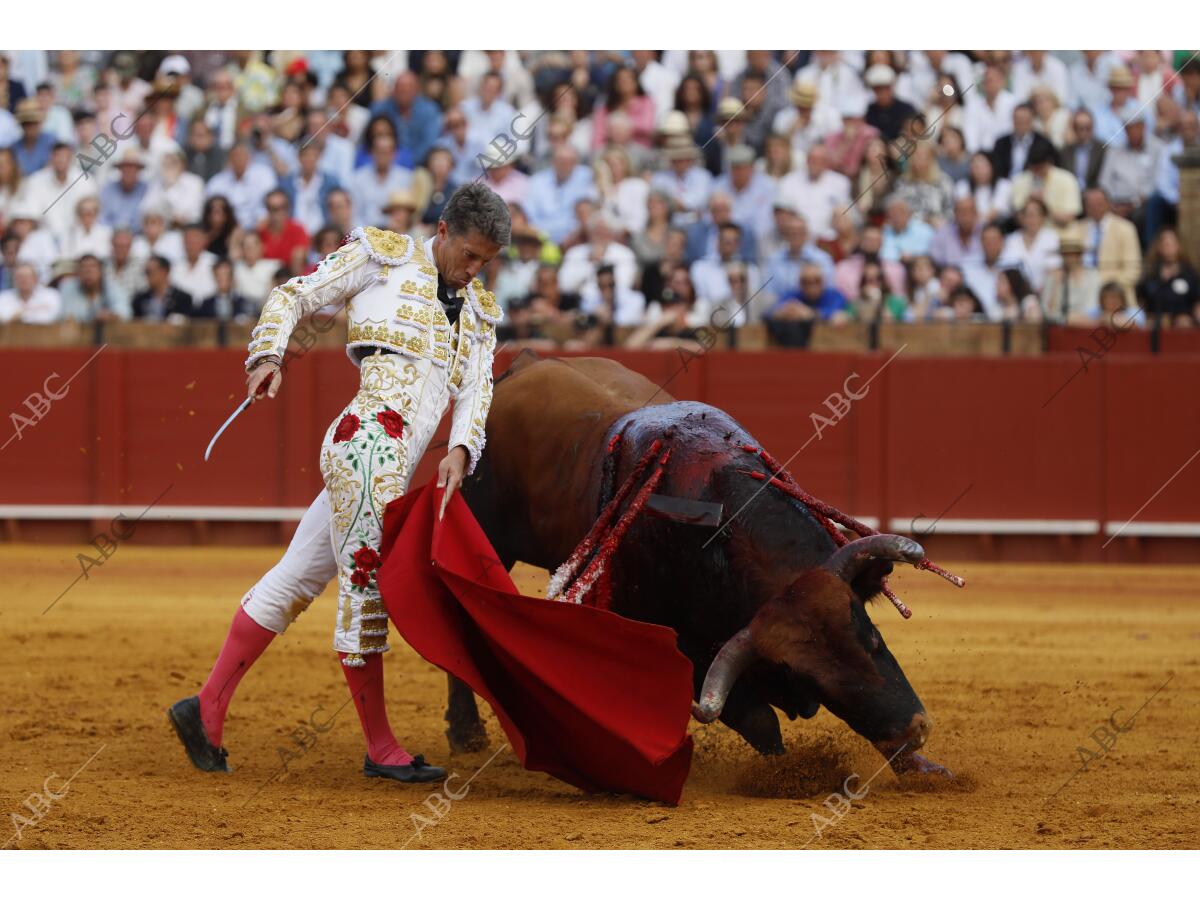 Se lidiaron toros de Miura para Manuel Escribano, David Fandilla «El ...