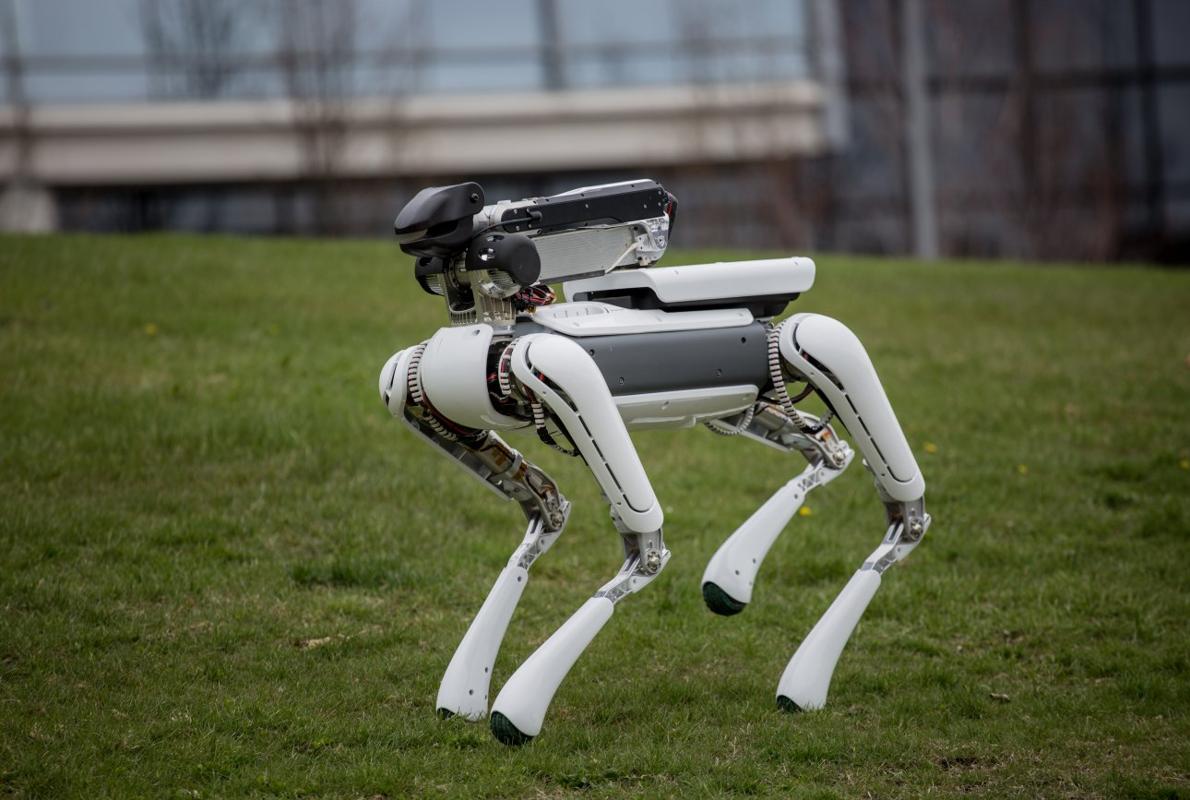 El perro robot llega al mercado